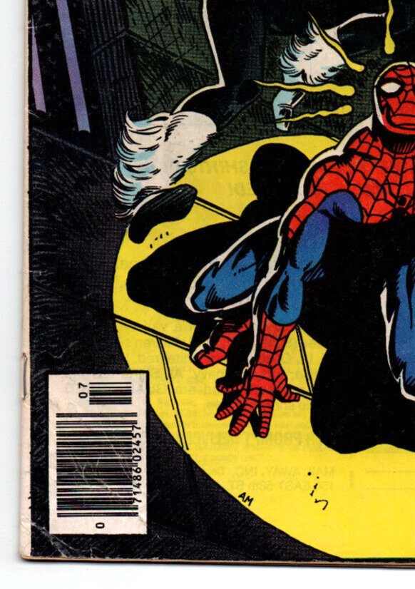 The Amazing Spider-man #194 newsstand - 1st appearance Black Cat - KEY ...