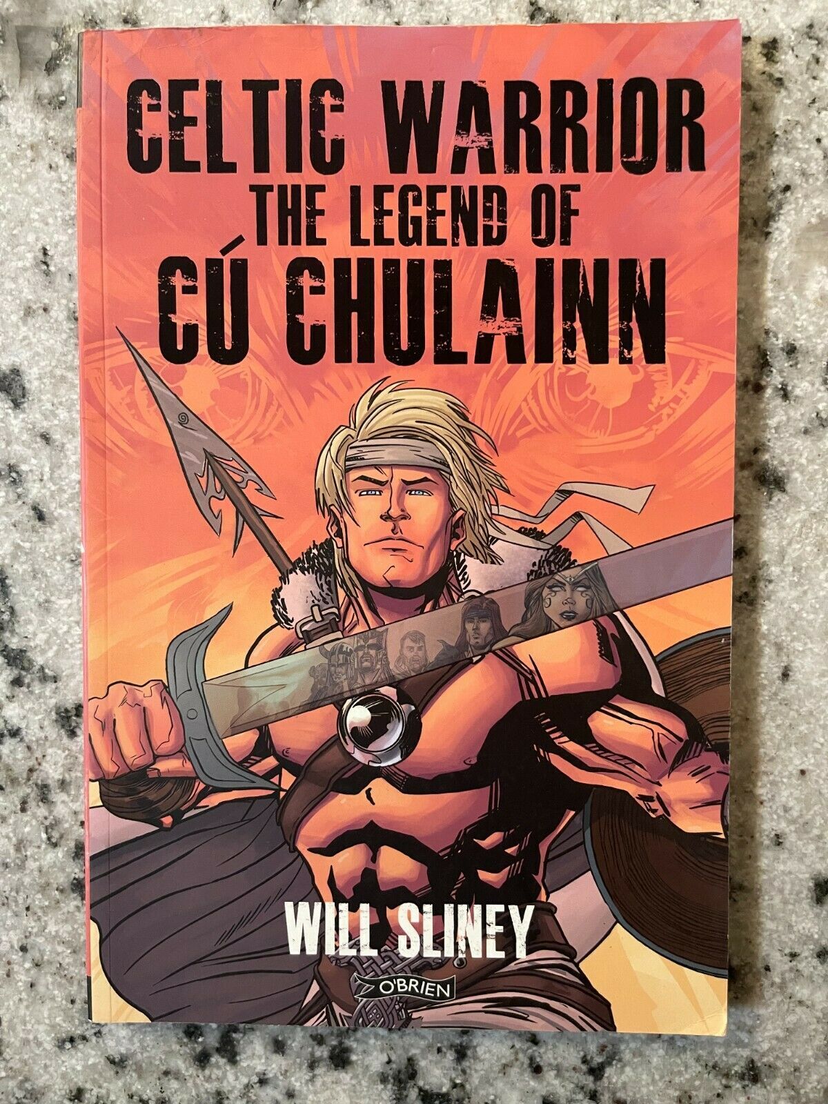 Celtic Warrior Legend Of Cu Chulainn O'Brien Graphic Novel Comic Book ...