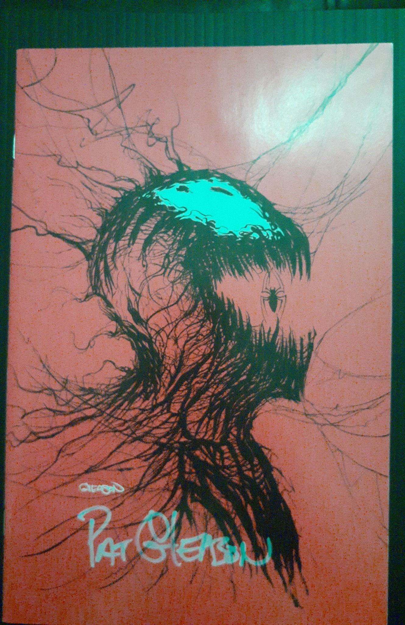 Carnage: Black, White & Blood #1 SIGNED Patrick Gleason Webhead Cover ...