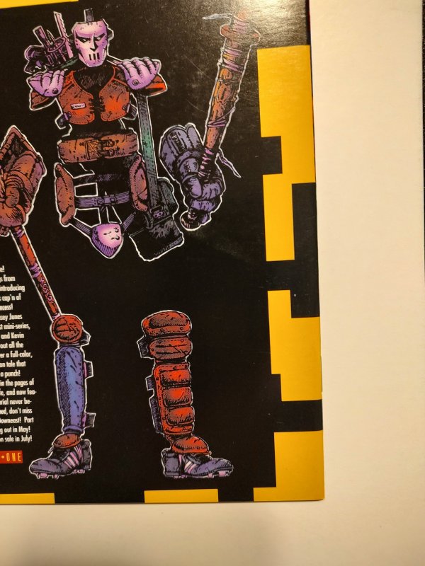 Teenage Mutant Ninja Turtles #4 (1994) "Intruders" Story & art by Jim ...