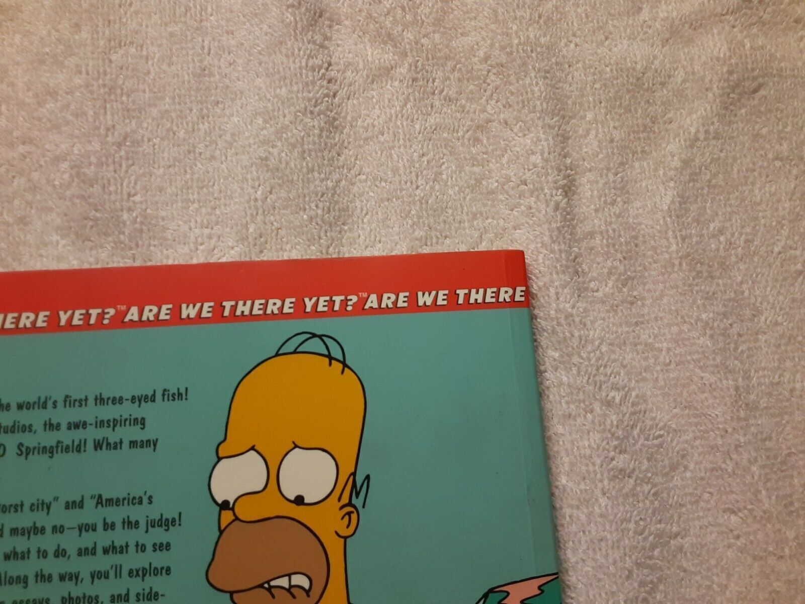 The Simpsons Guide to Springfield BY Matt Groening | Graphic Novels ...