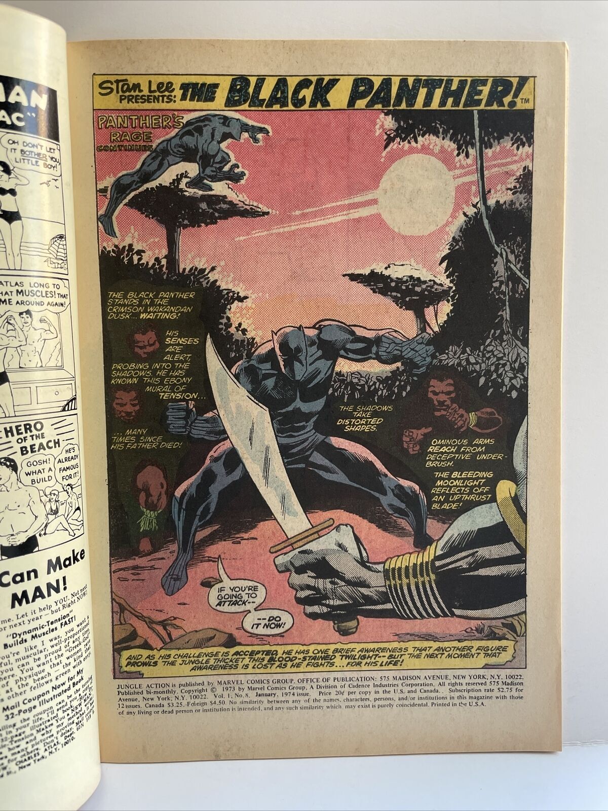 Jungle Action #8 Black Panther | Comic Books - Bronze Age, Marvel ...