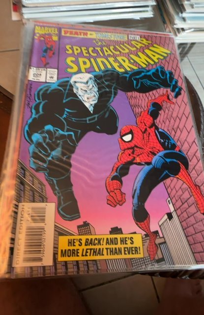 The Spectacular Spider-Man #204 Direct Edition (1993) Spider-Man ...