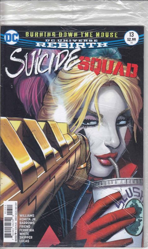 Suicide Squad (4th Series) #13 (in bag) VF/NM ; DC | Into the Badlands ...