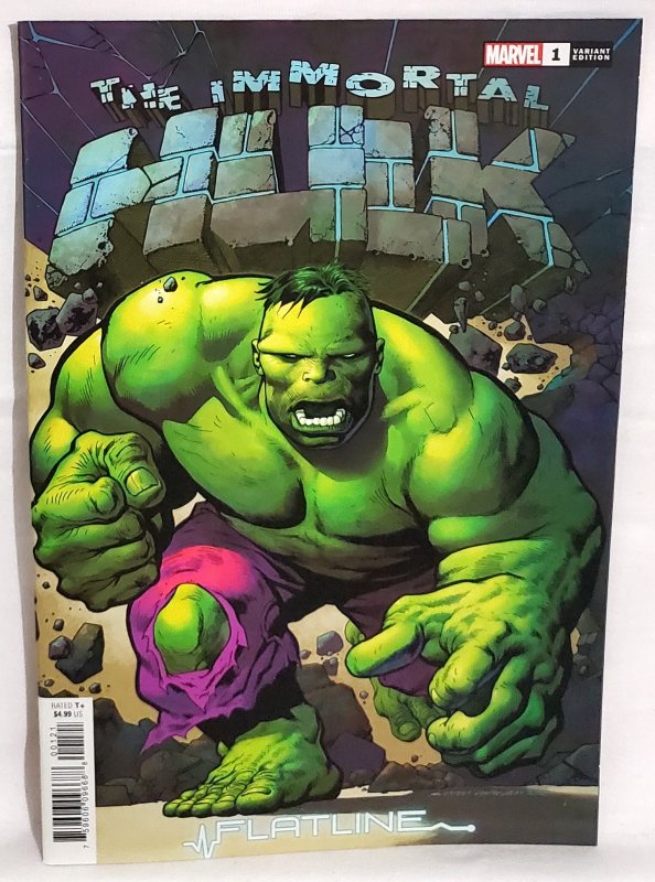 The Immortal Hulk Flatline #1 Kevin Nowlan Variant Cover (2021) | Comic ...