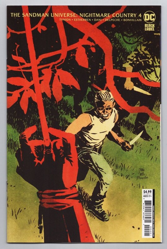 Sandman Universe Nightmare Country #4 Cvr B Dani Variant (DC, 2022) NM ...