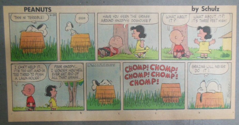 Peanuts Sunday Page by Charles Schulz from 6/24/1962 Size: ~7.5 x 15 ...