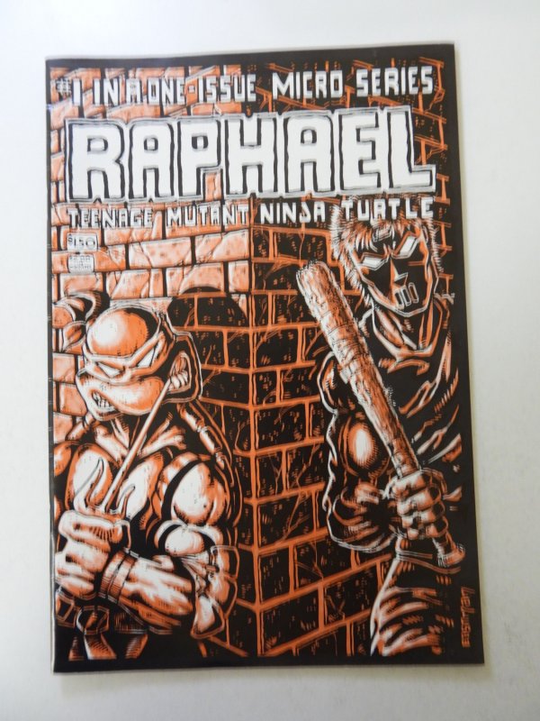 Raphael Teenage Mutant Ninja Turtle 1st Appearance Casey Jones 1st ...