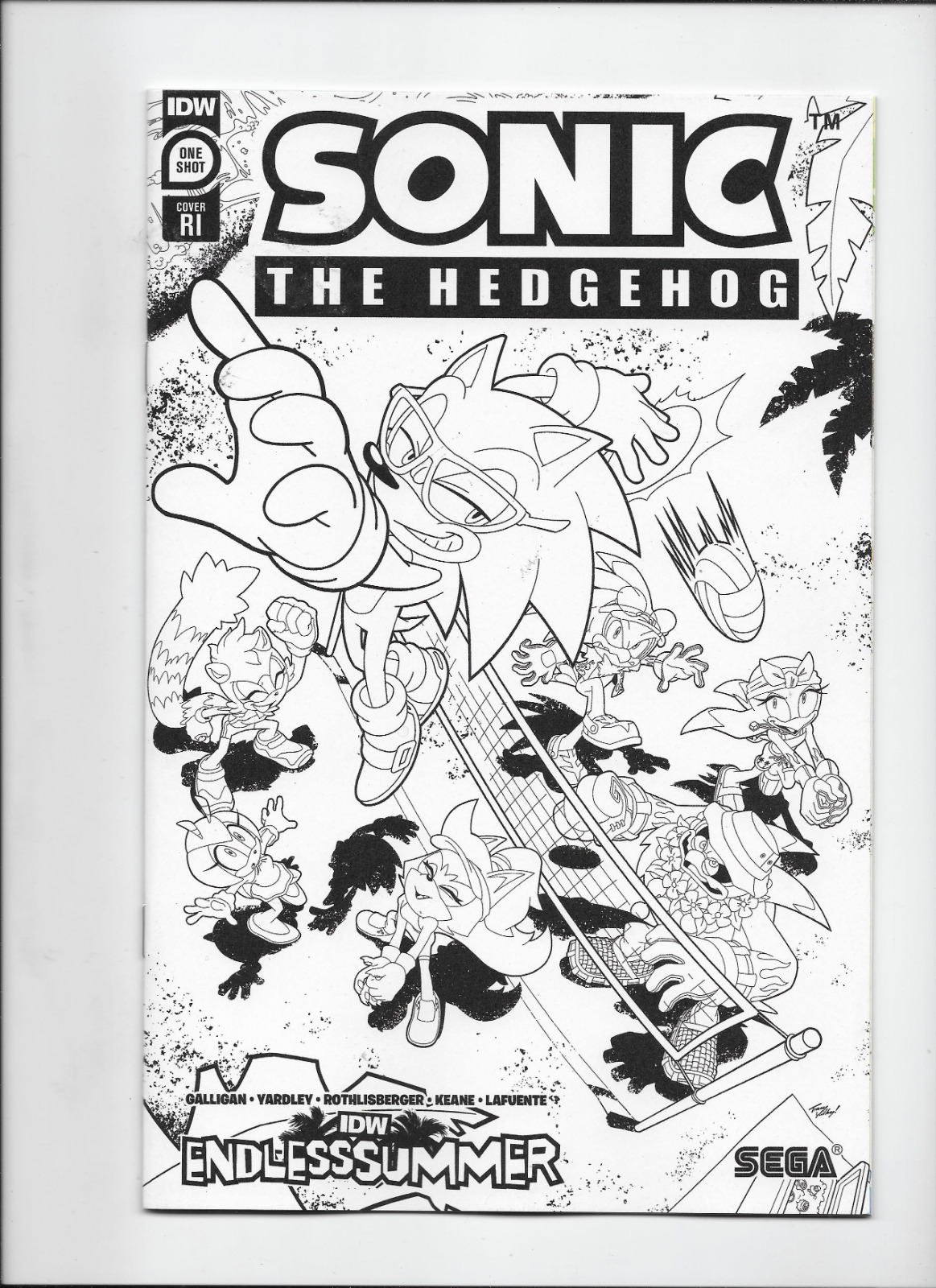 Sonic the Hedgehog Endless Summer 1:10 Coloring Book Idw-Prh 2023 ...