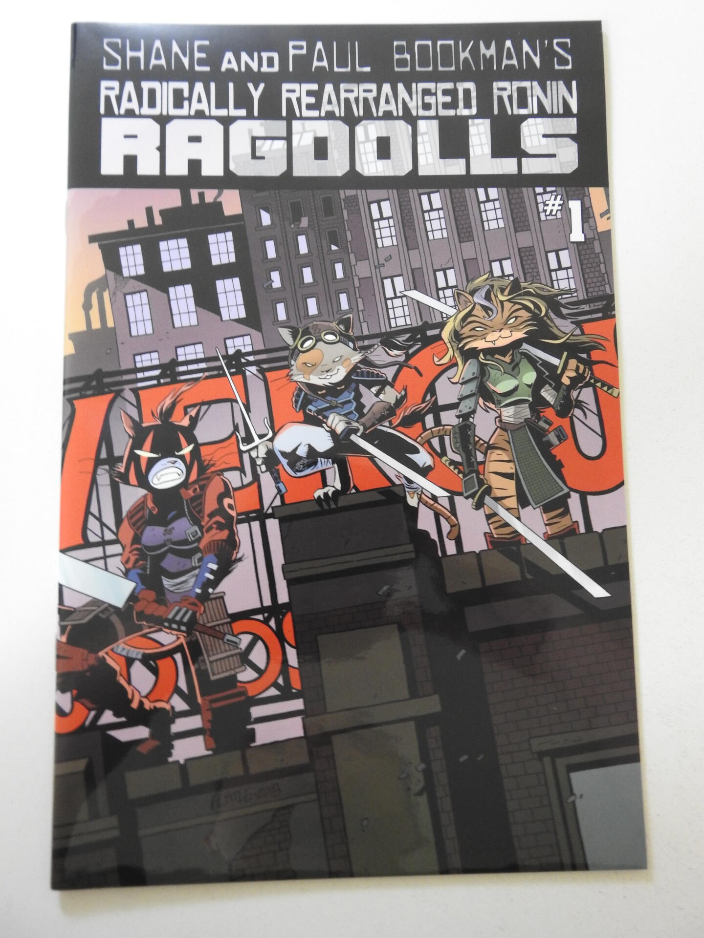 Radically Rearranged Ronin Ragdolls #1 (2019) | Comic Books - Modern ...