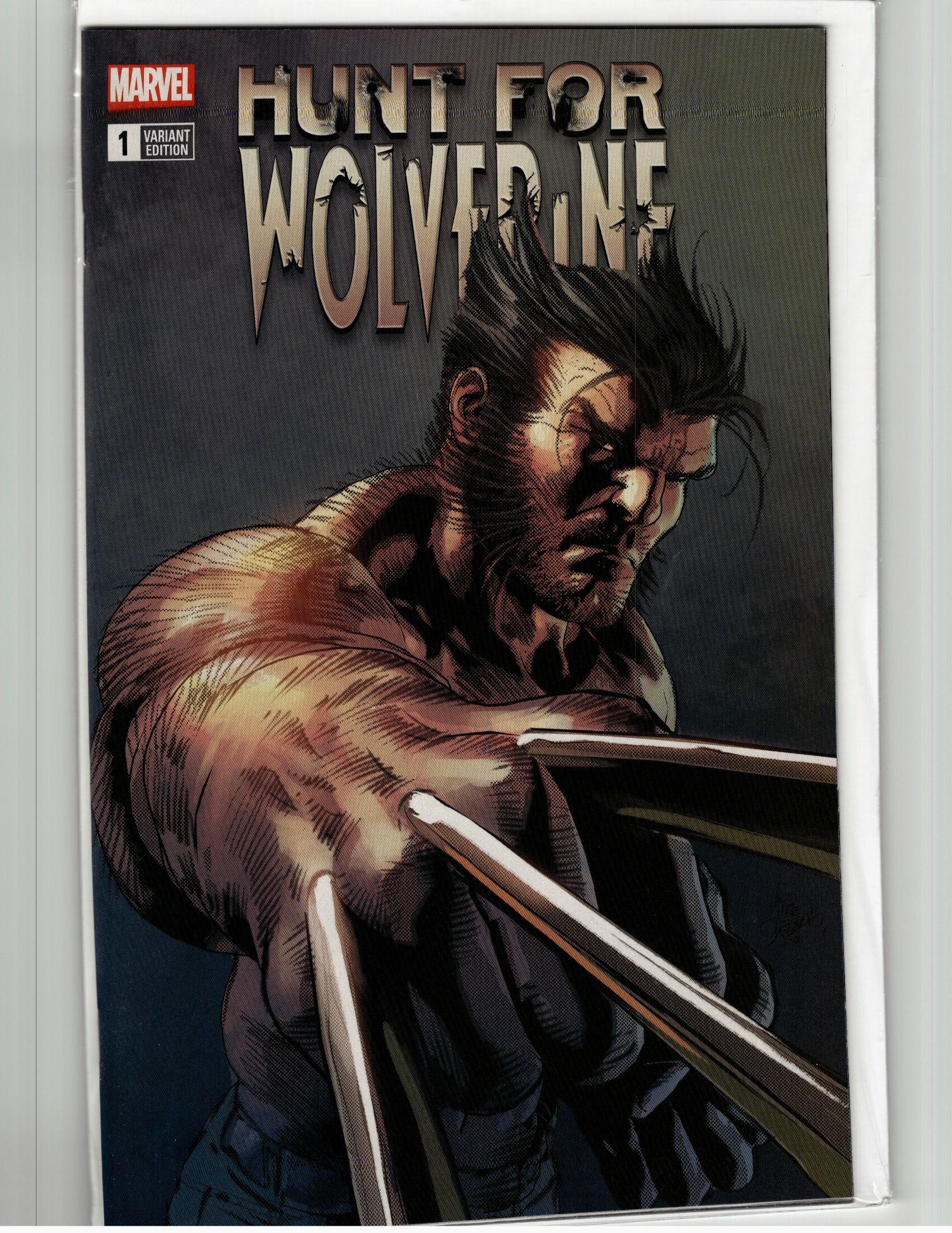 Hunt For Wolverine Deodato, Jr. Variant Cover (2018) Wolverine | Comic ...
