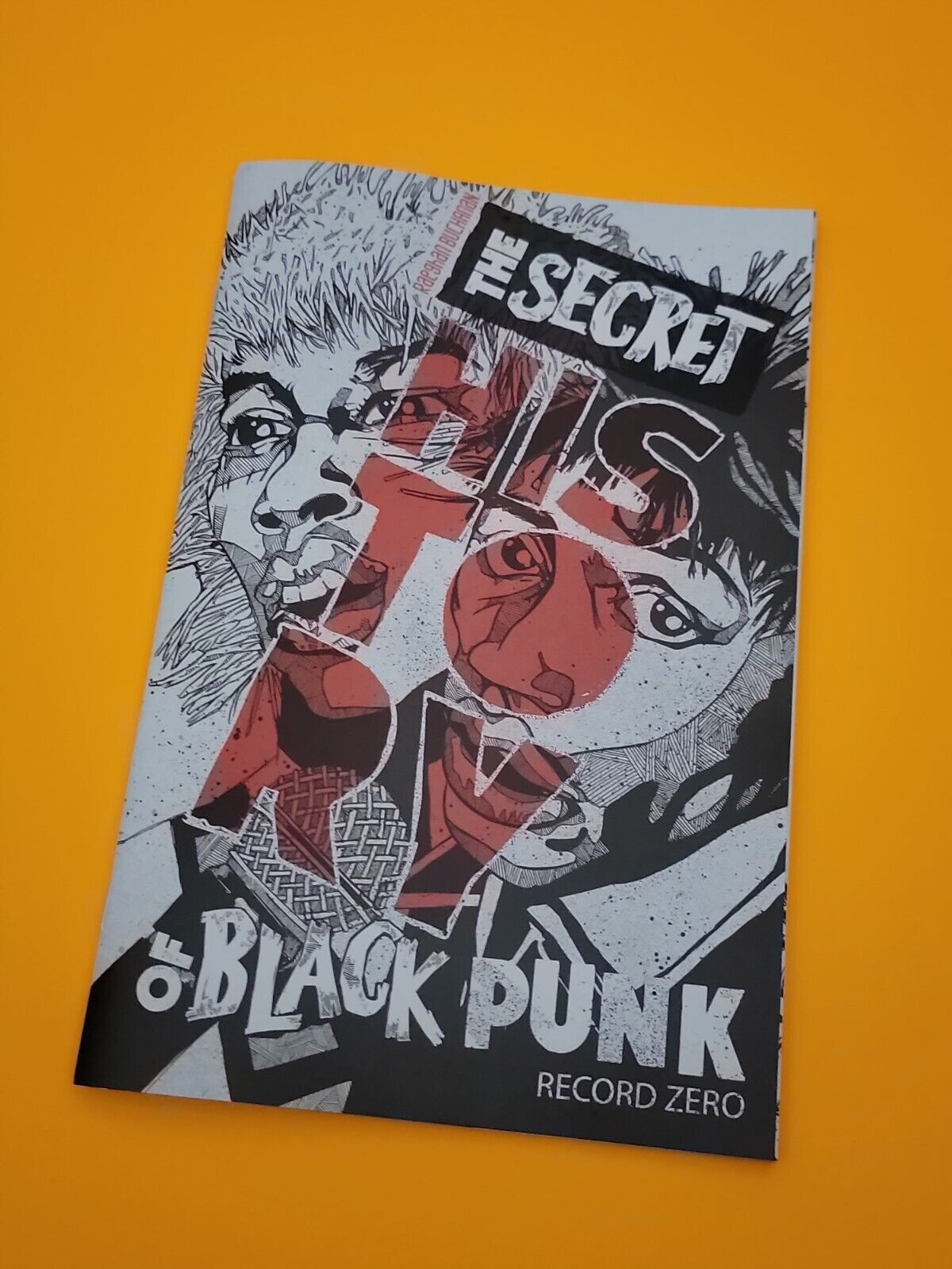 NEW Secret History of Black Punk Record Zero Raeghan Buchanan 2023 NM ...