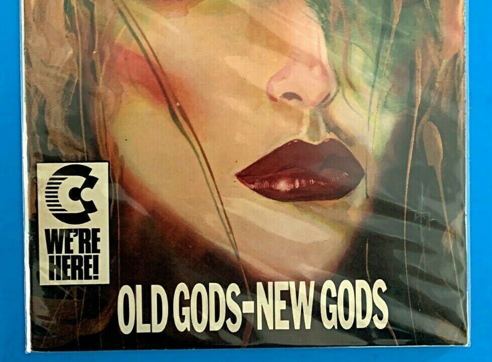 Samuree #6 Continuity Comics 1989 Vf+ | Comic Books - Copper Age / HipComic