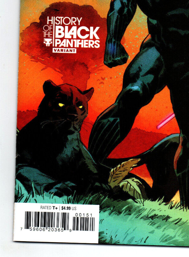 Wakanda #1 - 1:25 Klein History of the Black Panthers Variant - 2022 ...