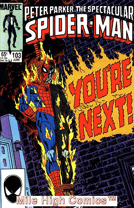 PETER PARKER (1976 Series) (SPECTACULAR SPIDER-MAN) #103 Fair Comics ...