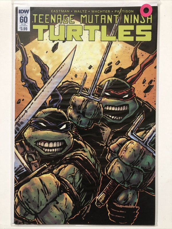 TMNT Teenage Mutant Ninja Turtles 60 Sub Cover IDW Variant Kevin ...