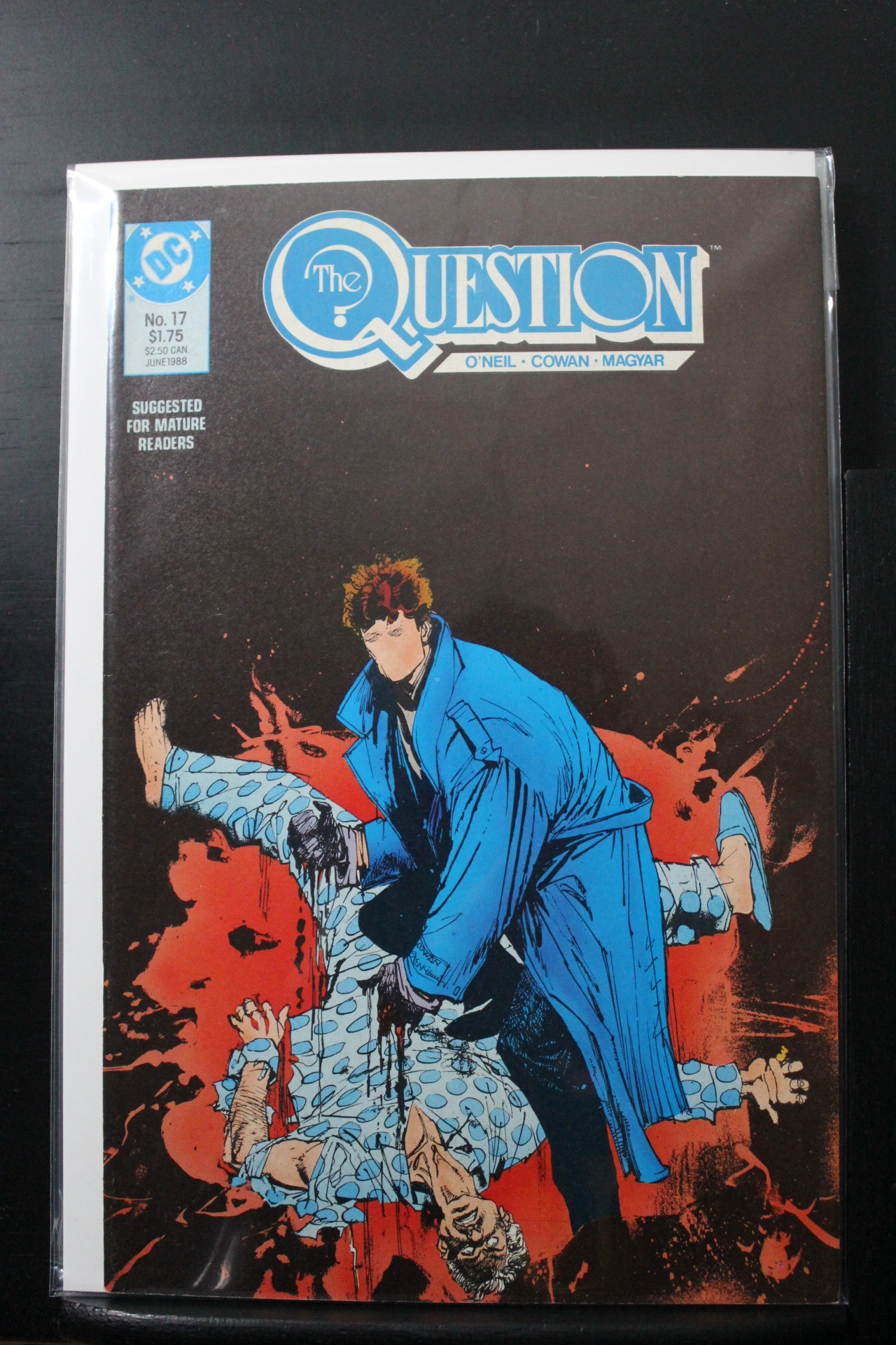 The Question #17 (1988) | Comic Books - Copper Age, DC Comics / HipComic