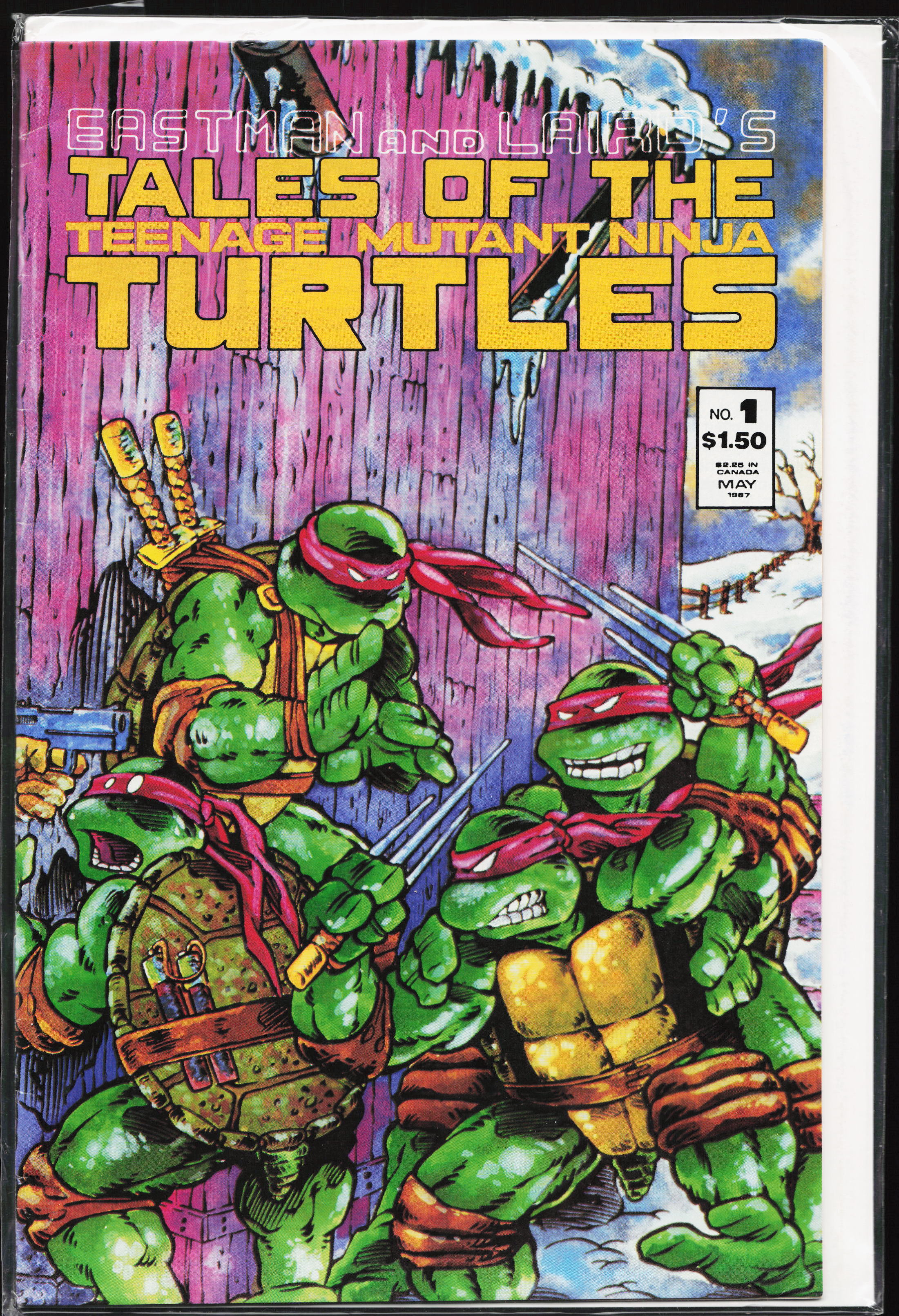 Teenage Mutant Ninja Turtles #4 Recalled Cover (1987) Teenage Mutant ...