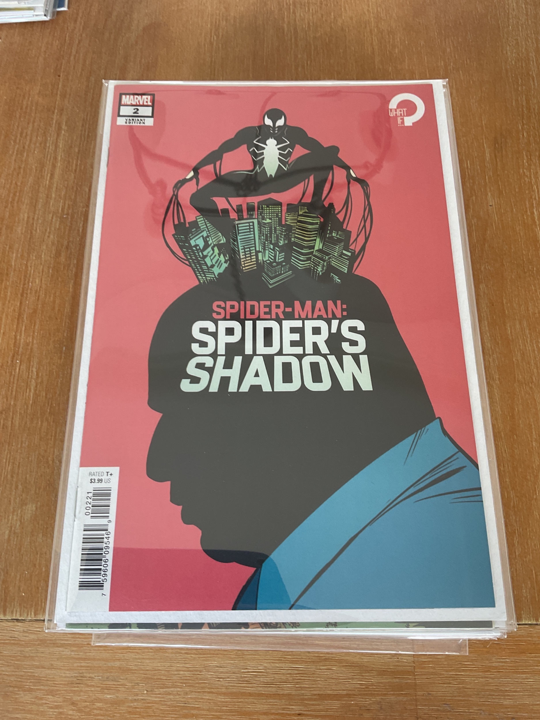 Spider-Man: The Spider's Shadow #2 Variant Cover (2021) | Comic Books ...