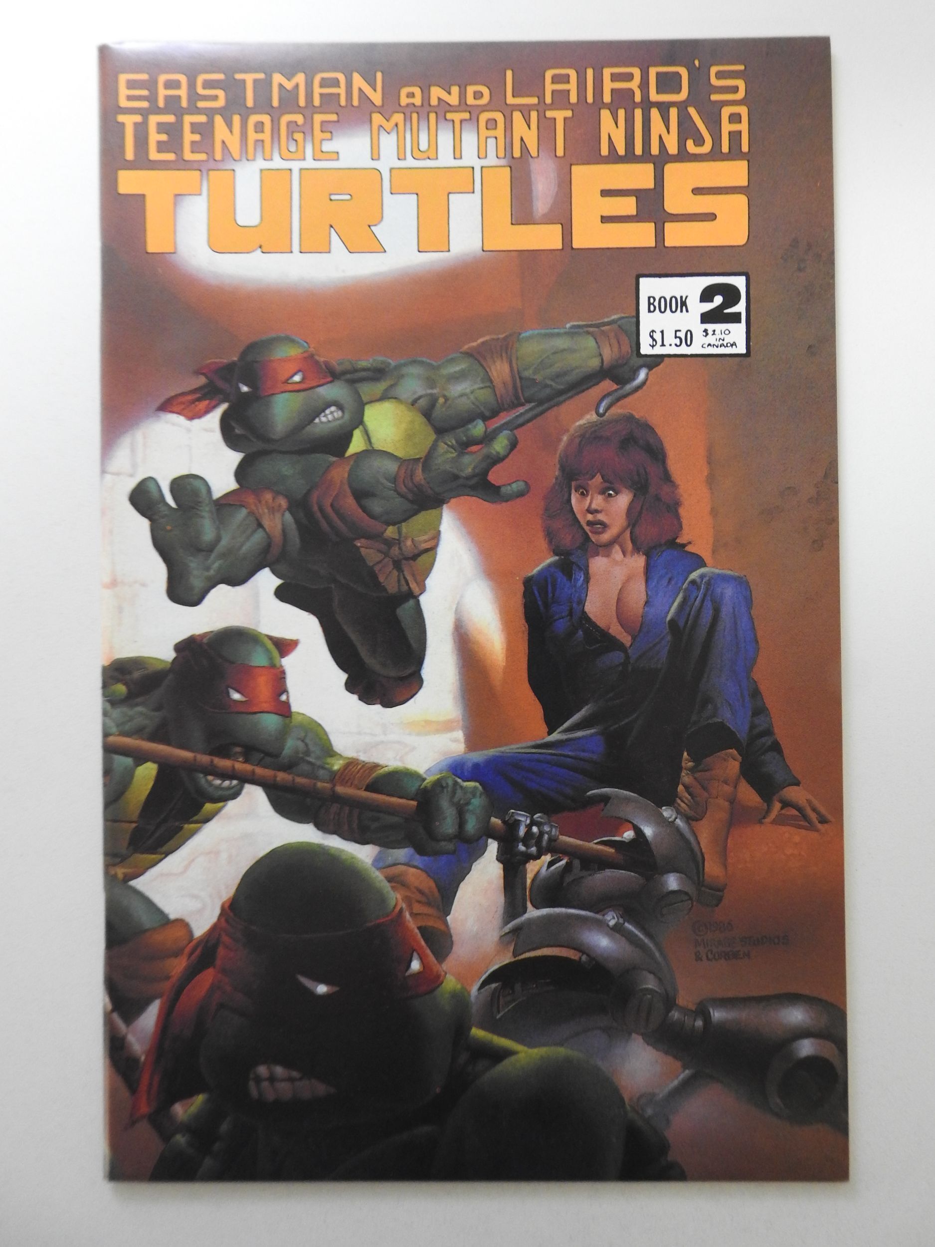 Teenage Mutant Ninja Turtles #2 Third Print Cover (1984) Signed Eastman ...