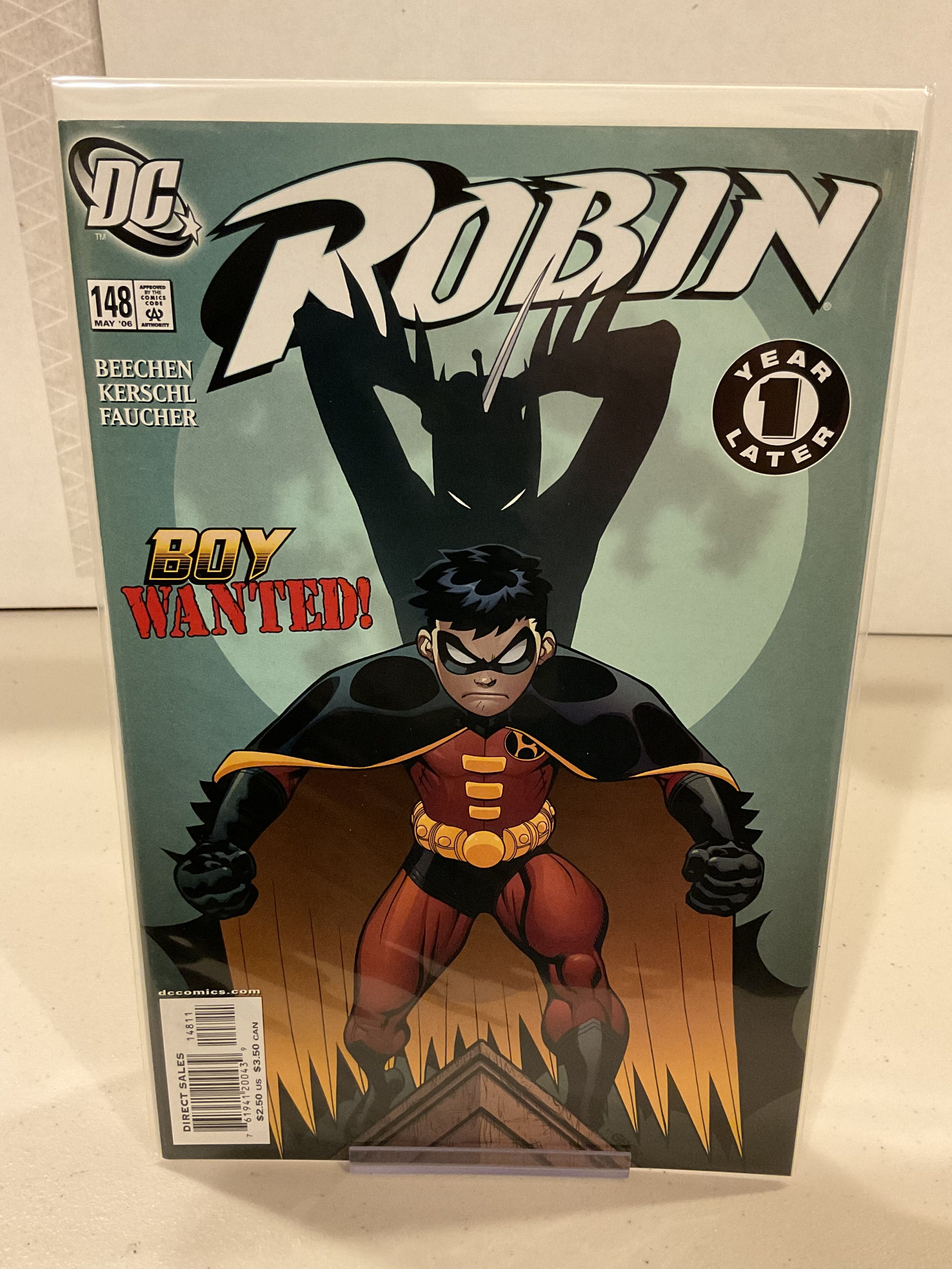 Robin Superhero Costume