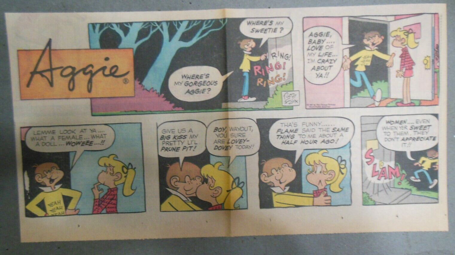 (6) Aggie Sunday Pages by Roy Fox from 1967 Size: 7.5 x 15 inches ...