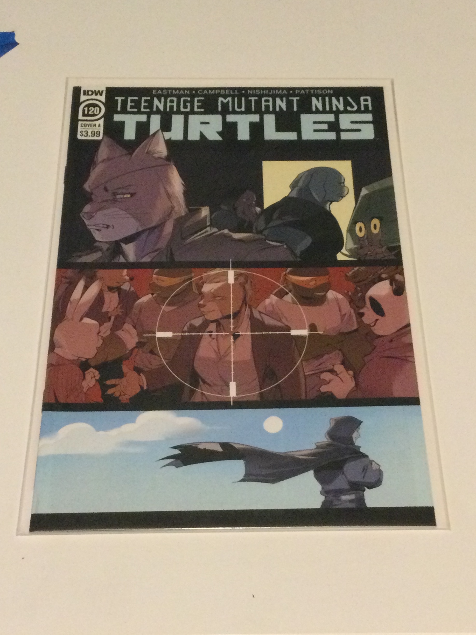 Teenage Mutant Ninja Turtles #120 NM | Comic Books - Modern Age, IDW ...