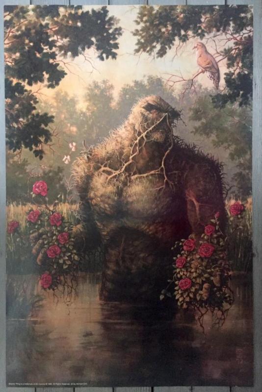 SWAMP THING Poster, Michael Zulli, 22x34, 1993, Unused, more DC in ...