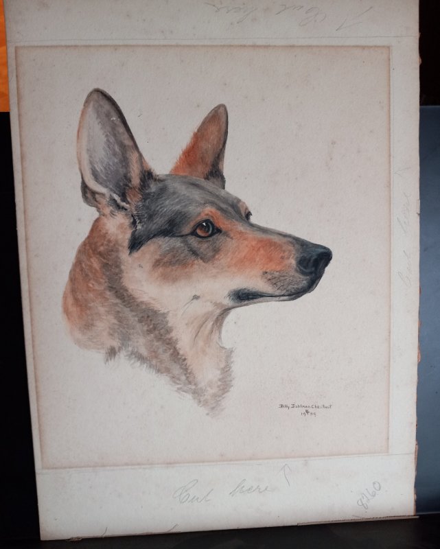 Billy Dohlman Chestnut, (1939) Fine Art Drawing | Comic Collectibles ...