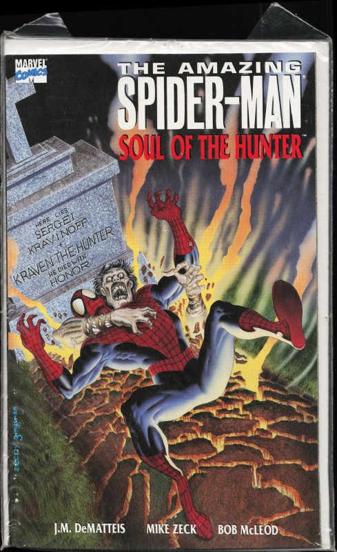 The Amazing Spider-Man: Soul of the Hunter (1992) Spider-Man | Comic ...