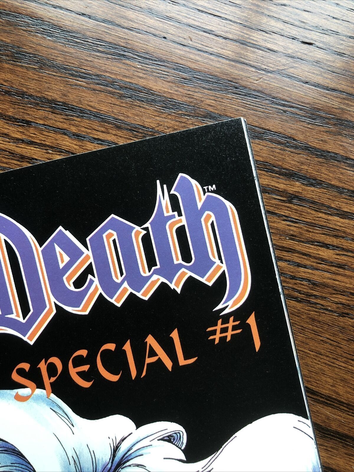 Lady Death Swimsuit Special #1 BEAUTIFUL! Steven Hughes 1994 Chaos ...