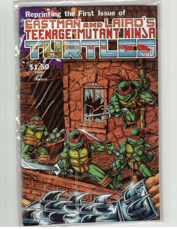 Teenage Mutant Ninja Turtles #1 Fourth Print Cover (1984) Teenage ...