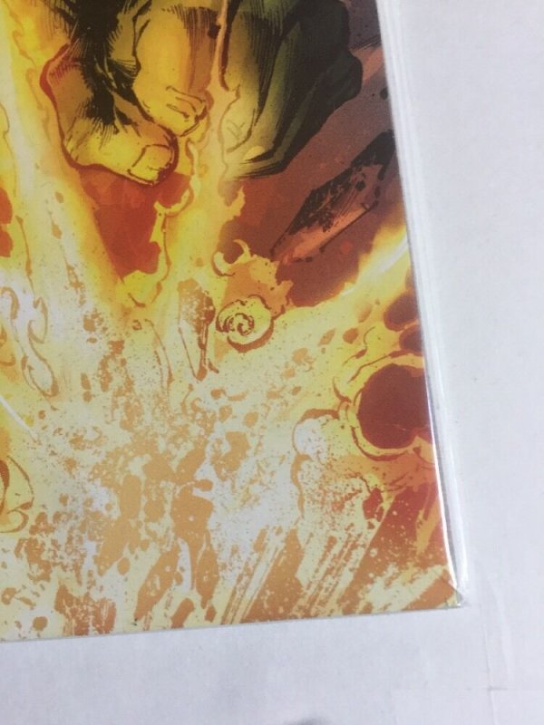 Incredible Hulk and the Human Torch Marvel Vault (2011) # 1 ONE Shot ...