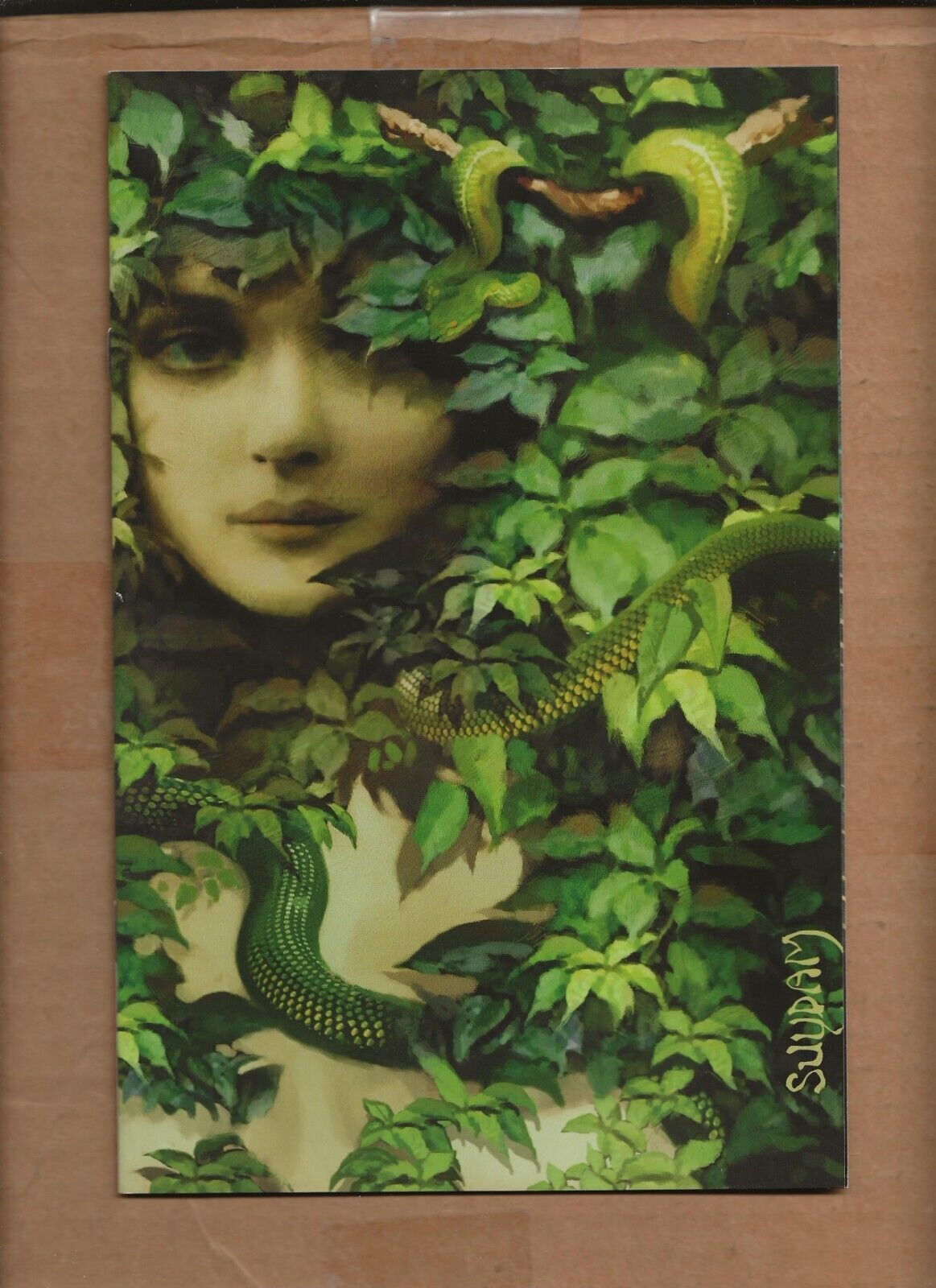 Sheena Queen Of The Jungle #2 SUYDAM LIMITED EDITION COLOR VIRGIN ...