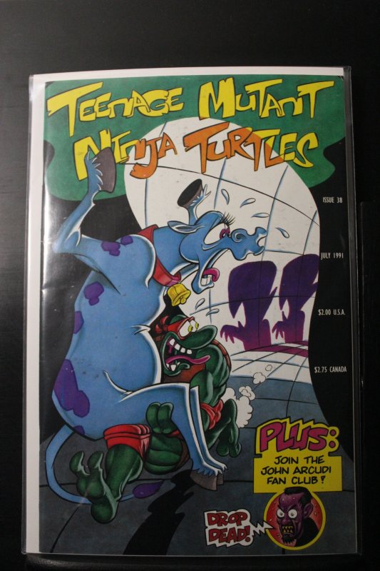 Teenage Mutant Ninja Turtles #38 (1991) | Comic Books - Copper Age ...