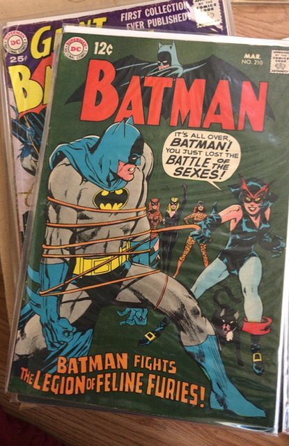 Batman #210 (1969) Batman and Robin | Comic Books - Silver Age, DC ...