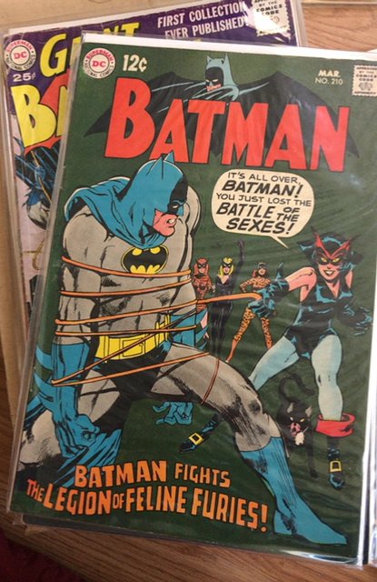 Batman #210 (1969) Batman and Robin | Comic Books - Silver Age, DC ...