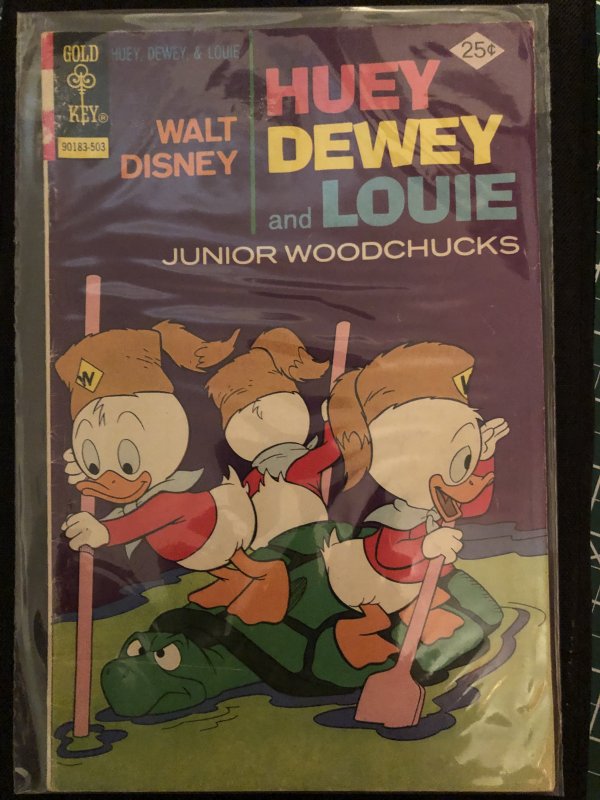 Huey, Dewey and Louie Junior Woodchucks #31 (1975) | Comic Books ...