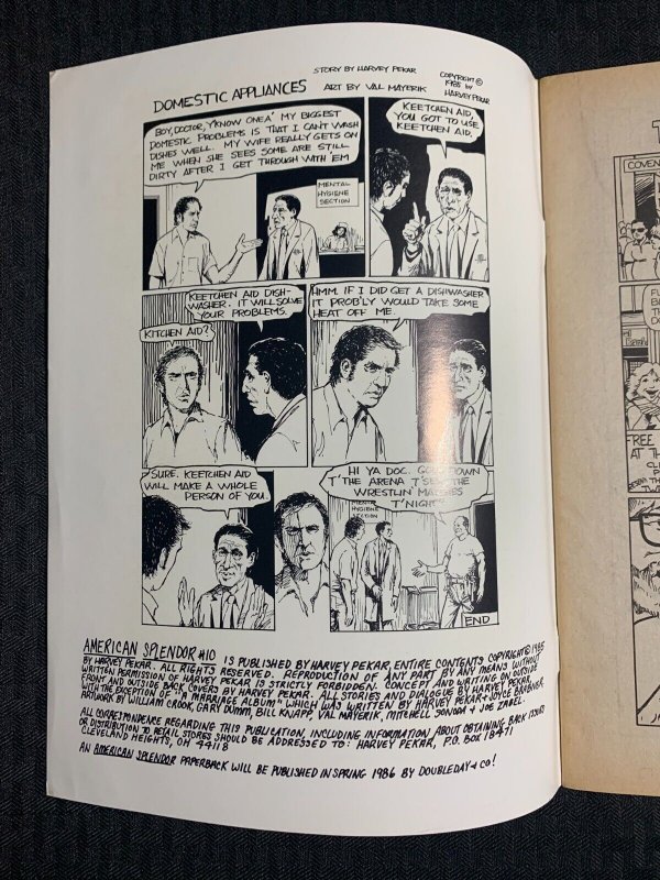 1985 AMERICAN SPLENDOR Magazine #10 FN+ 6.5 Harvey Pekar / Val Mayerick ...