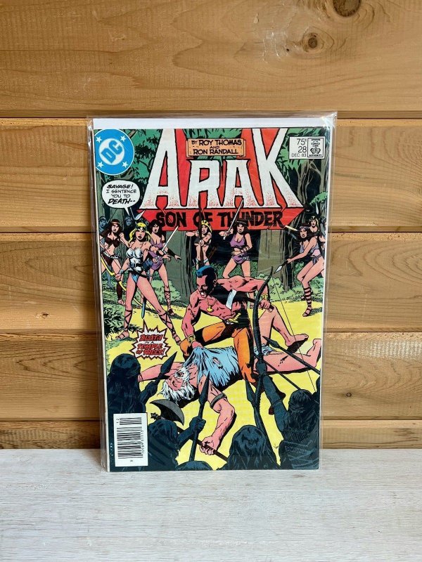 DC Comics Arak Son of Thunder #28 Vintage 1983 | Comic Books - Bronze ...