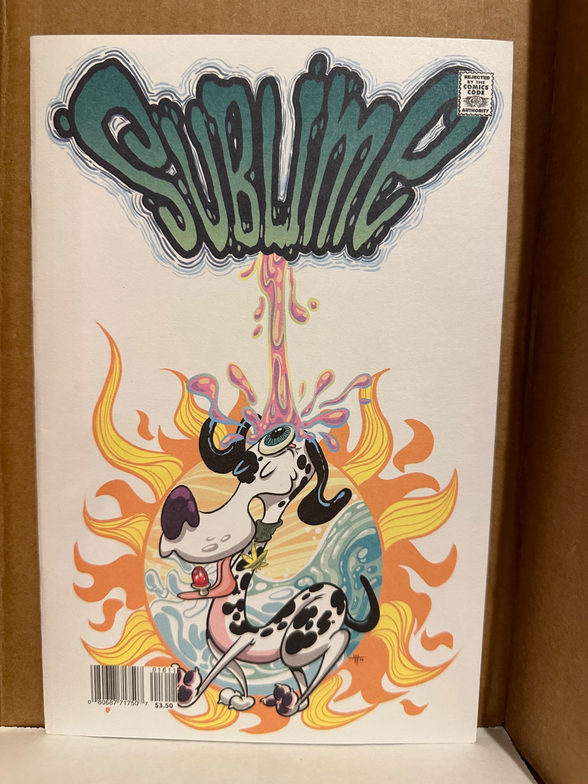 Sublime “Bad Fish” Rock & Roll Biography NM Very Rare Indie | Comic ...