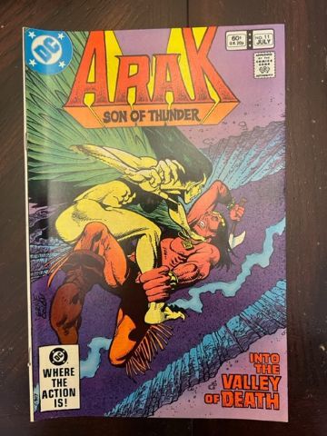 Arak, Son of Thunder #11 (1982) - NM | Comic Books - Bronze Age, DC ...