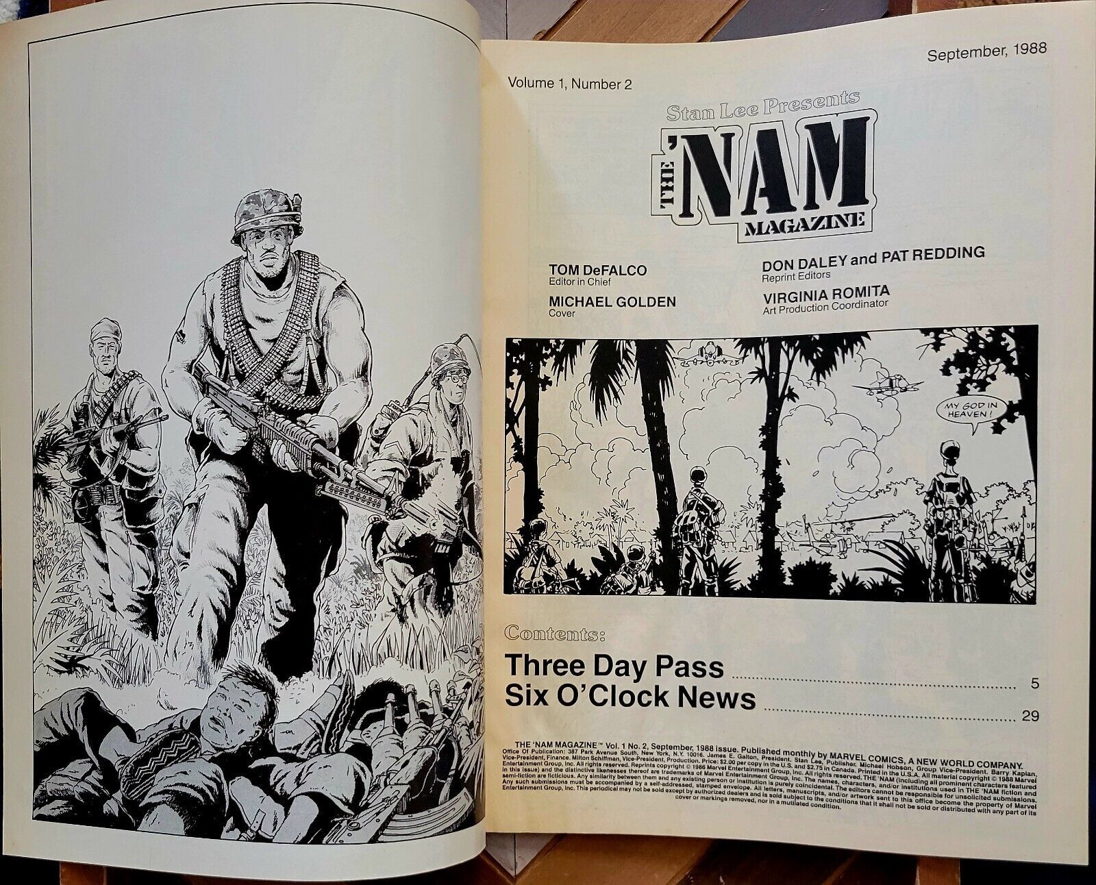 THE 'NAM MAGAZINE #2 & 3 VF (Marvel 1988) M.Golden Covers/Custom Bundle ...