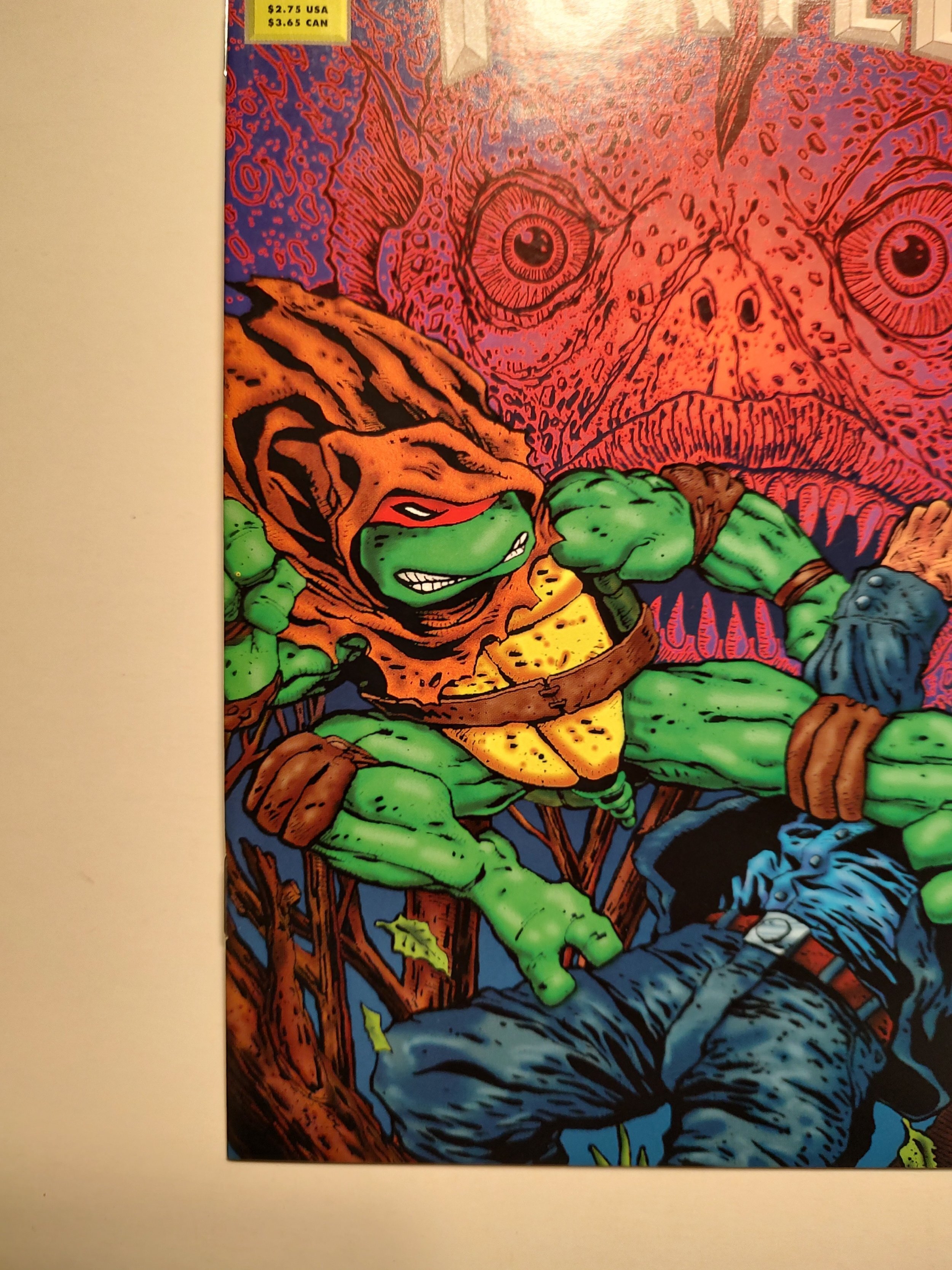 Teenage Mutant Ninja Turtles #4 (1994) "Intruders" Story & art by Jim ...