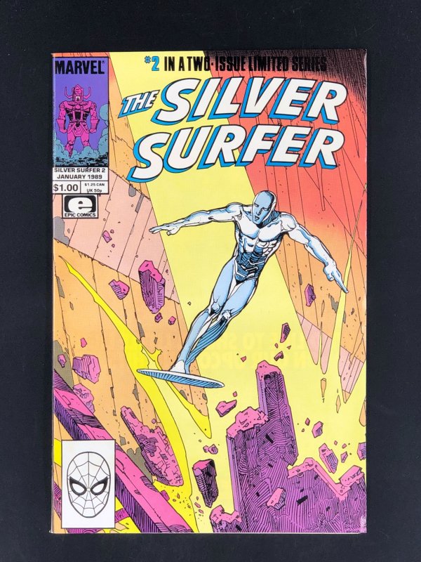 The Silver Surfer #2 (1989) VF Written by Stan Lee and Illustrated by ...
