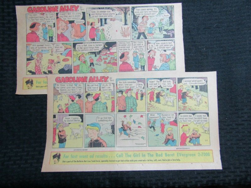 1966 GASOLINE ALLEY by Bill Perry 14.5x8" Newspaper Comics LOT E of 12 ...