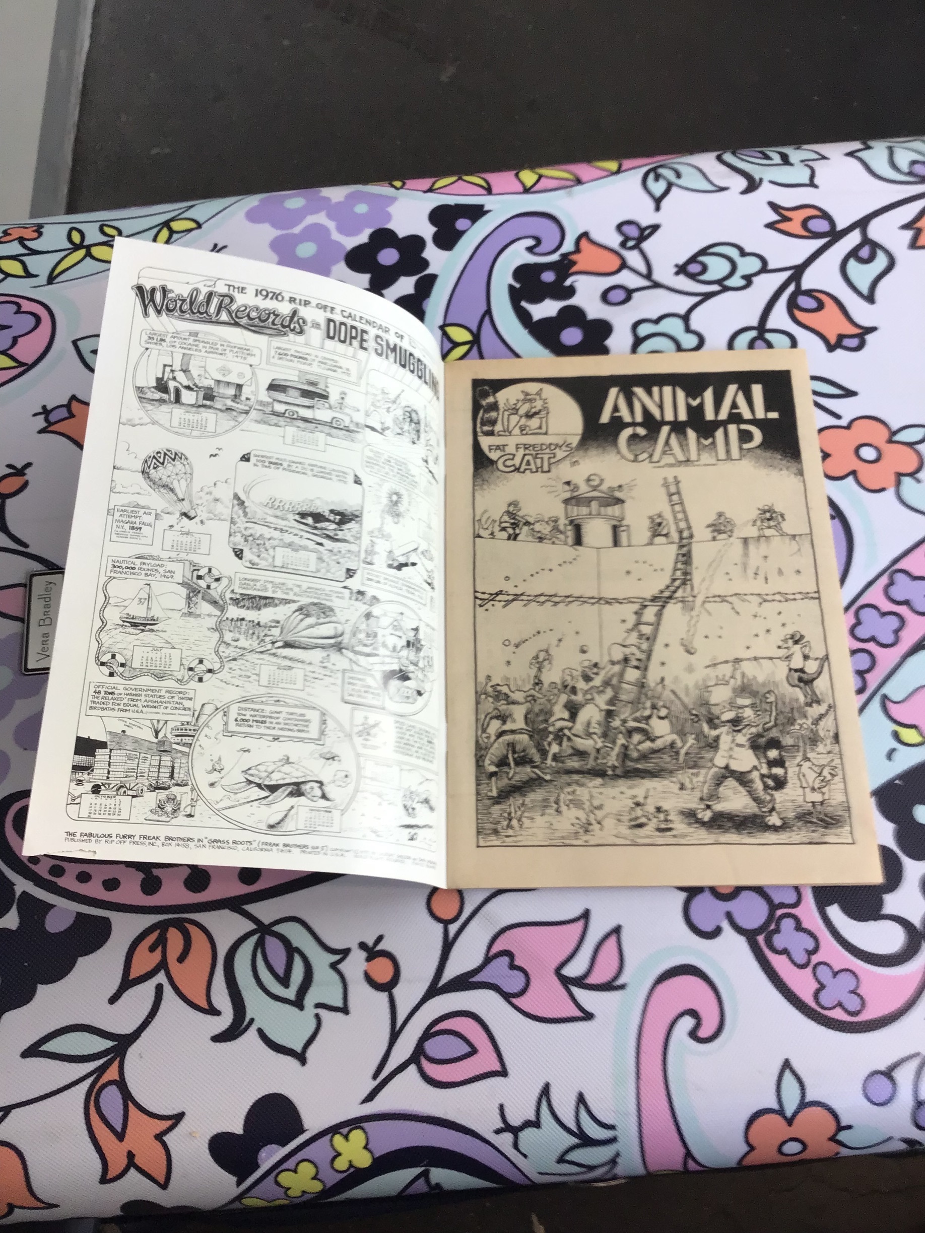 The Fabulous Furry Freak Brothers #5 1st print VF C’Ville CERT Gilbert ...