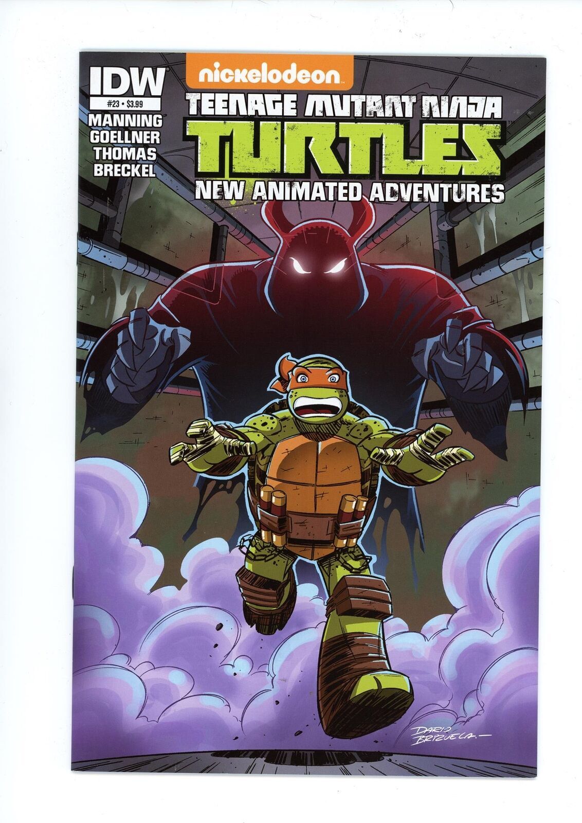 Teenage Mutant Ninja Turtles New Animated Adventures #23 (2015) IDW ...