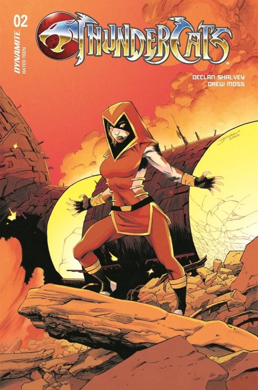 Thundercats #2 Cvr Y Foc Shalvey Calica Original Foil Dynamic Forces Comic Book | Comic Books ...