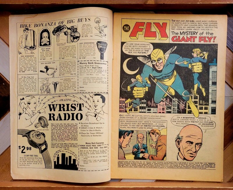 Adventures of THE FLY #24 VG (Archie Comics 1963) "The Shock of the Fly ...